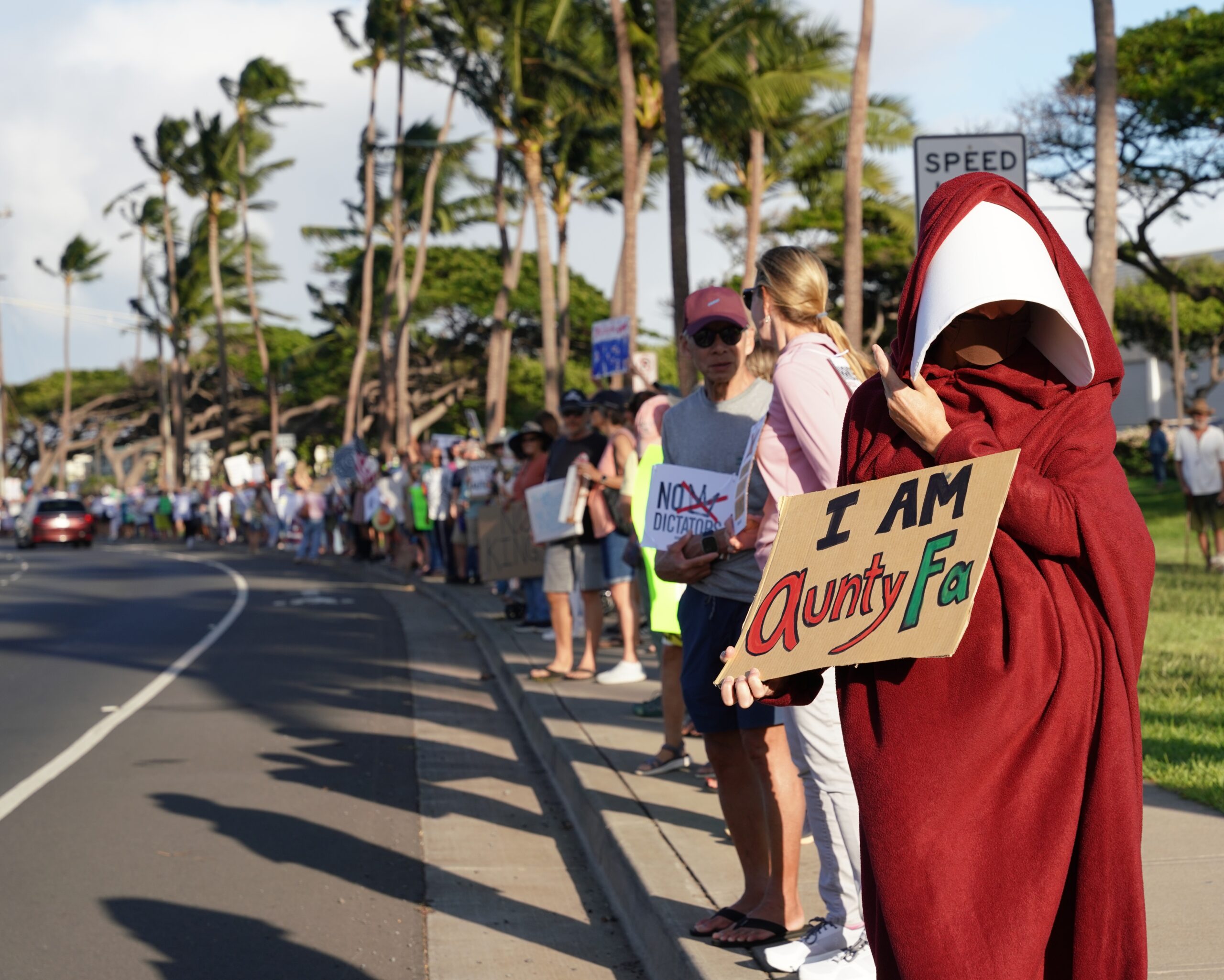 Photos: ‘No Dictators’ protest on Maui | News, Sports, Jobs - Maui News
